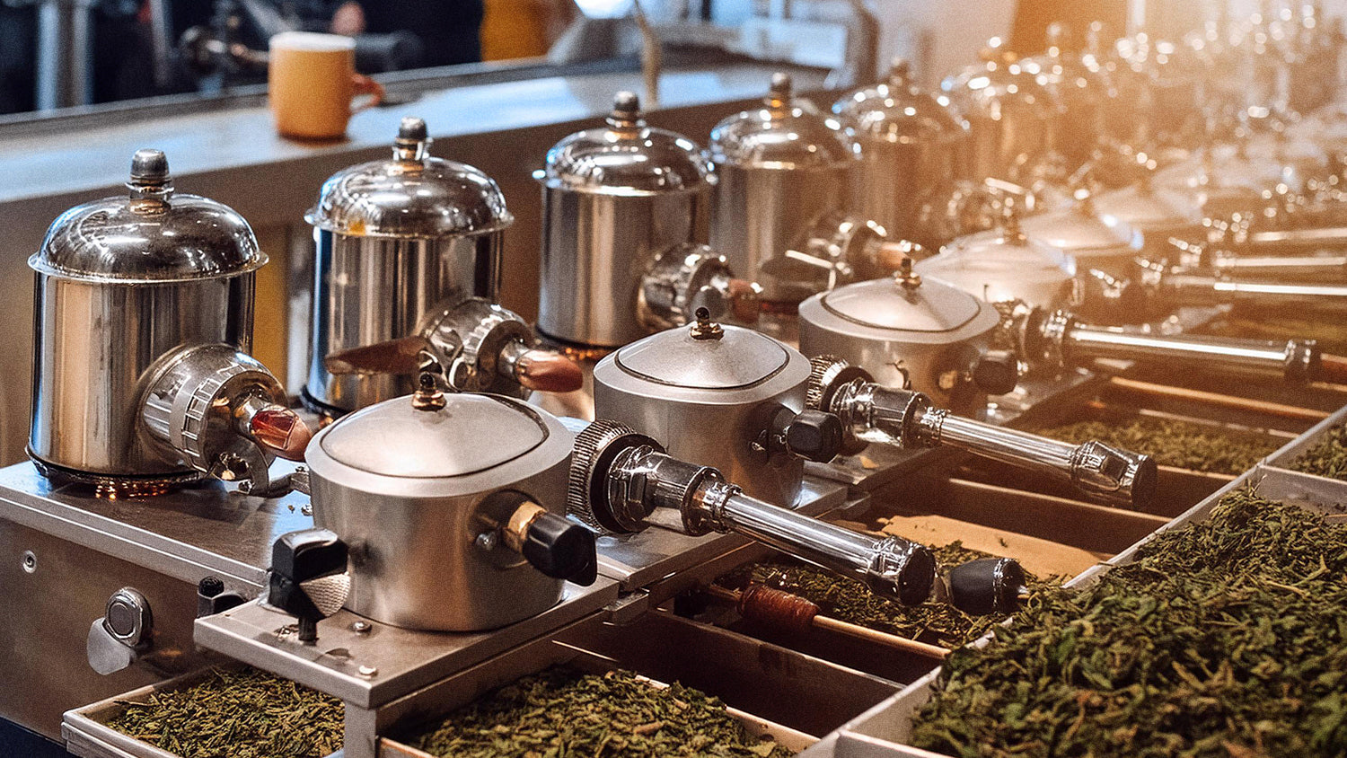 How Tea is Decaffeinated and Why It’s Good For You! – Seven Teas