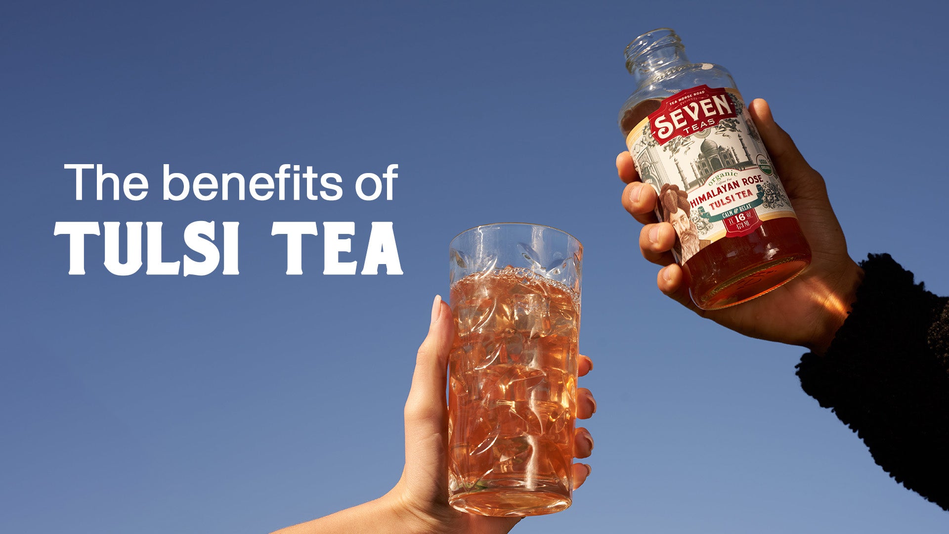 Amazing Tulsi Tea Benefits You Need to know – Seven Teas